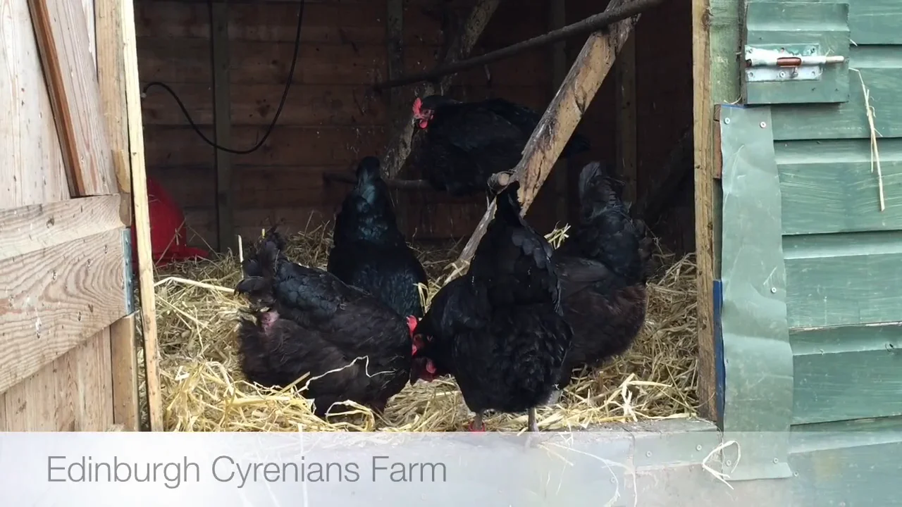 Edinburgh Cyrenians Farm on Vimeo