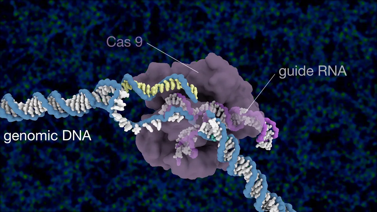 Introduction to Genome Editing Using CRISPR/Cas9