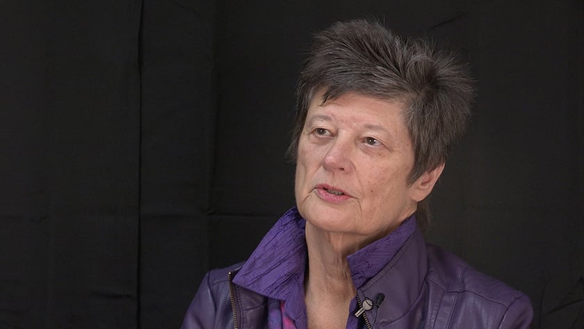 Roz Schnick, Roz Schnick Consulting, LLC, Wisconsin, USA on Vimeo