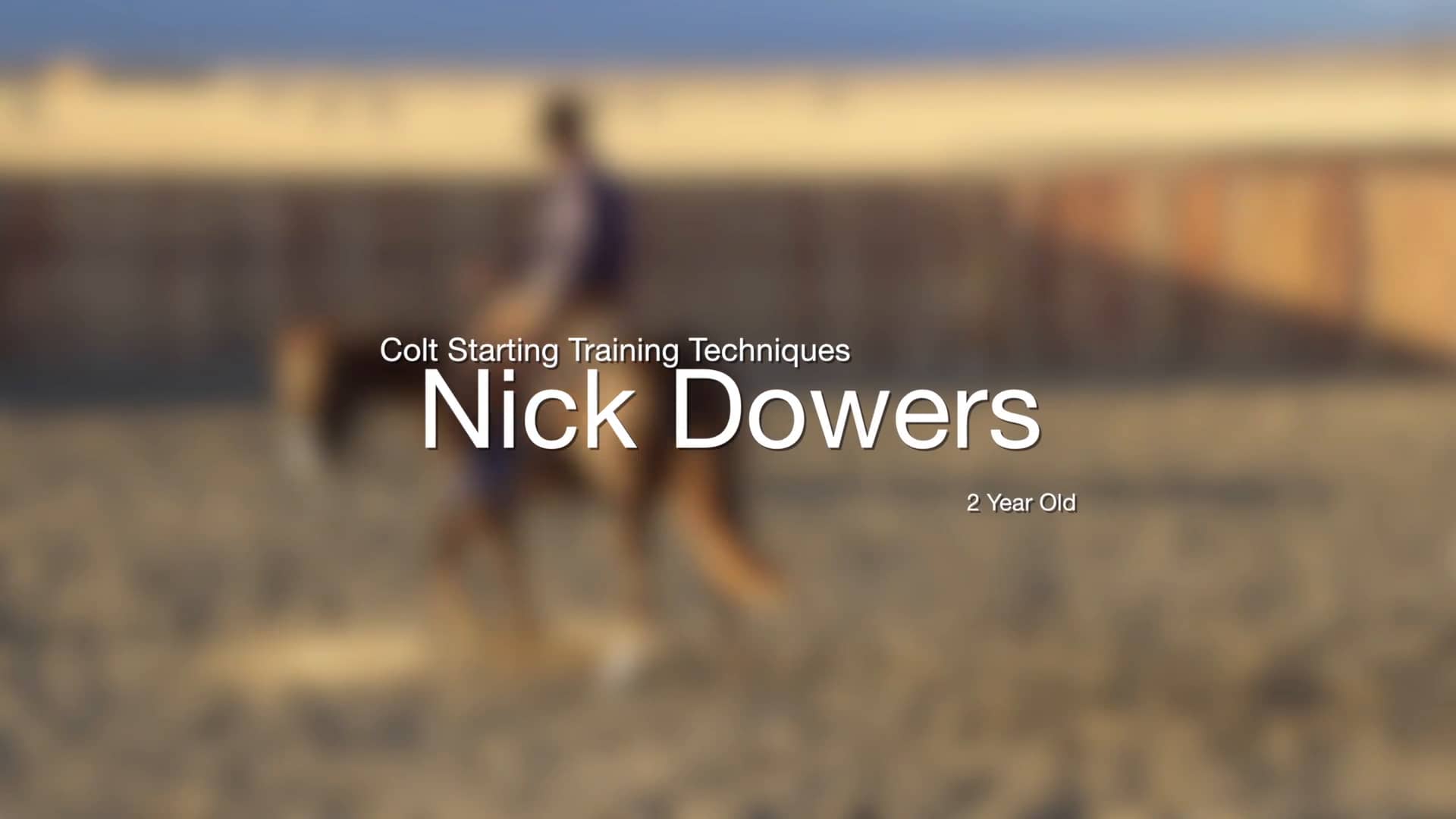 Nick Dowers - Following the Reins; Pressure And Release 2 Year Old ...