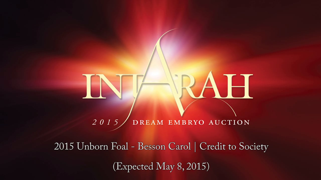 Besson Carol x Credit to Society on Vimeo