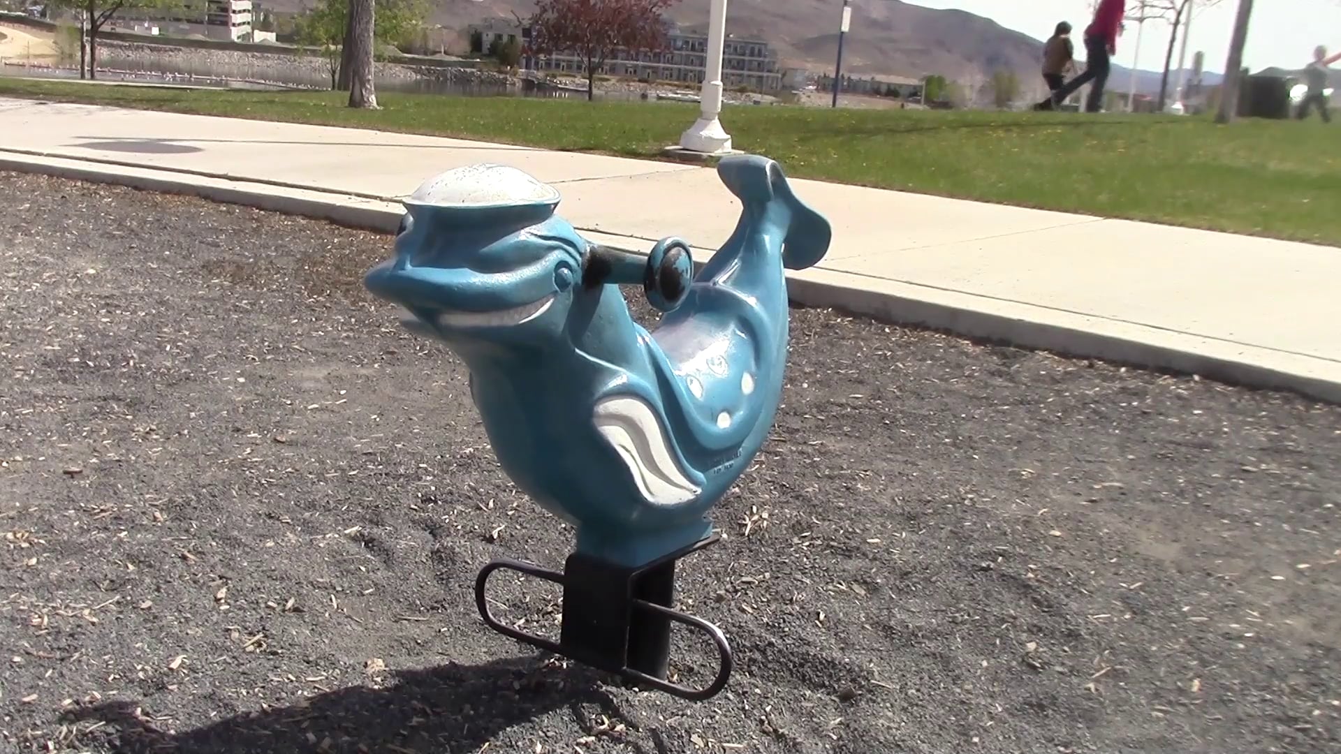 Unmoving Object: The Lonely Shark on Vimeo