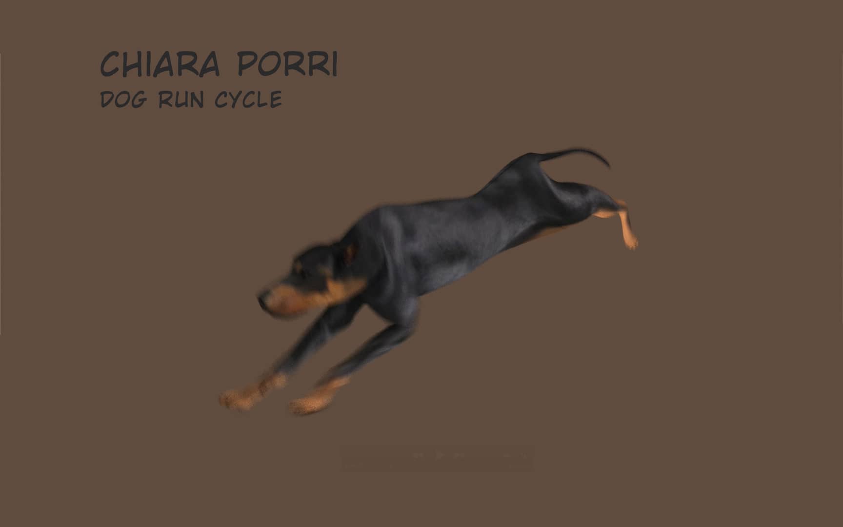 Dog Run Cycle on Vimeo