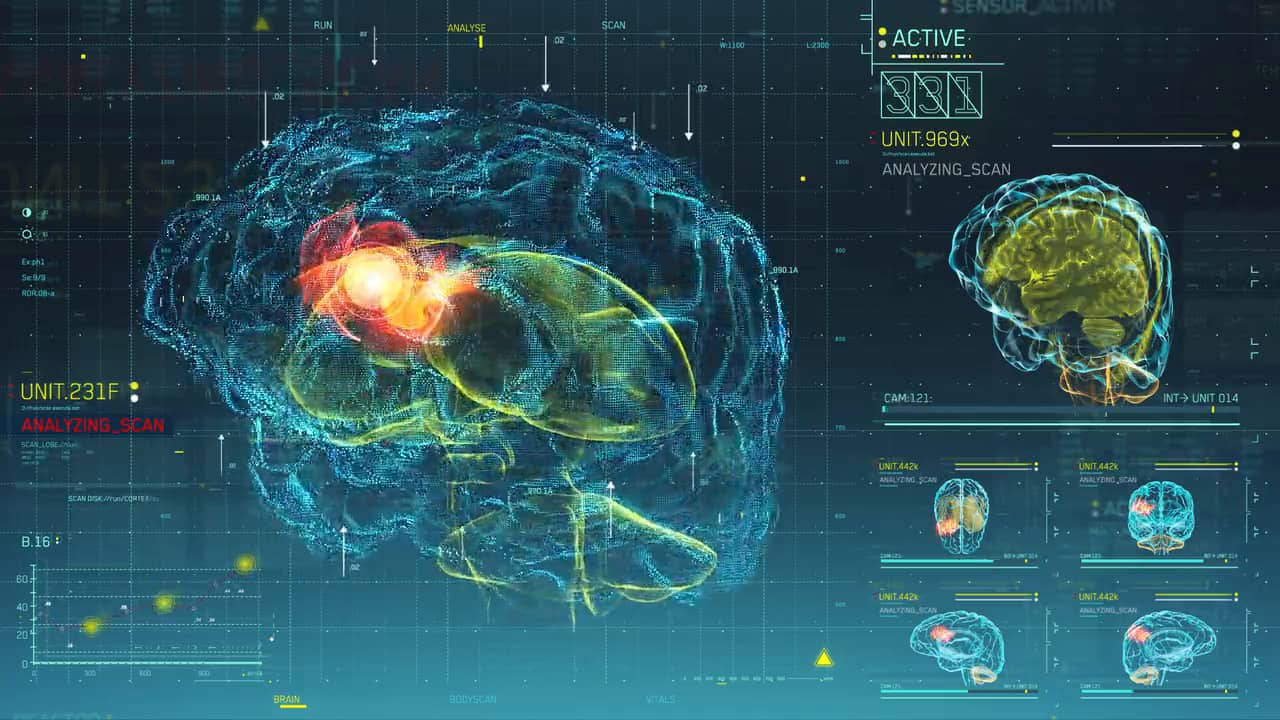 S1 The Flash Generic Brain Activity Loop on Vimeo