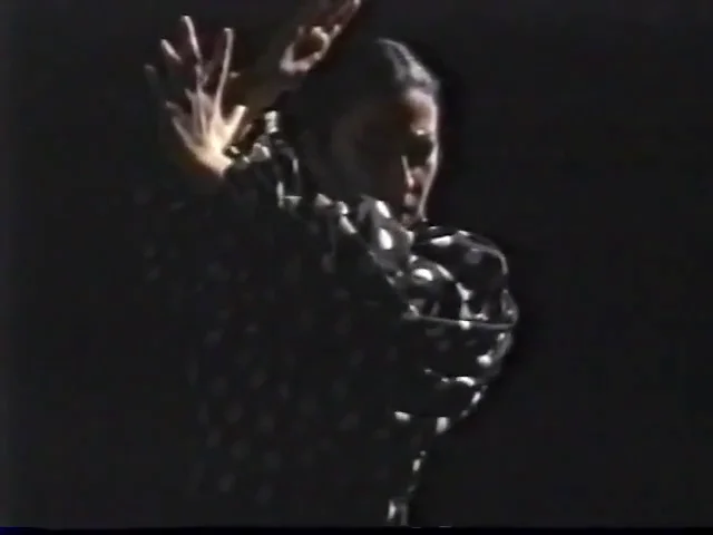 Mi Pasiòn - Mi Pasiòn 8min (1995) on Vimeo