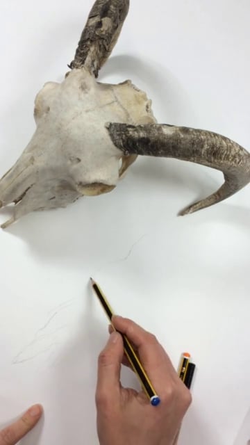 Tonal shading, observational drawing on Vimeo