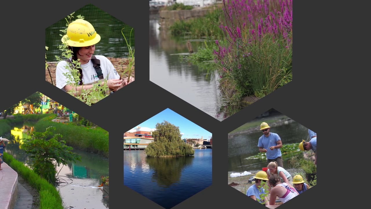 Biomatrix Water: Waterway Restoration on Vimeo