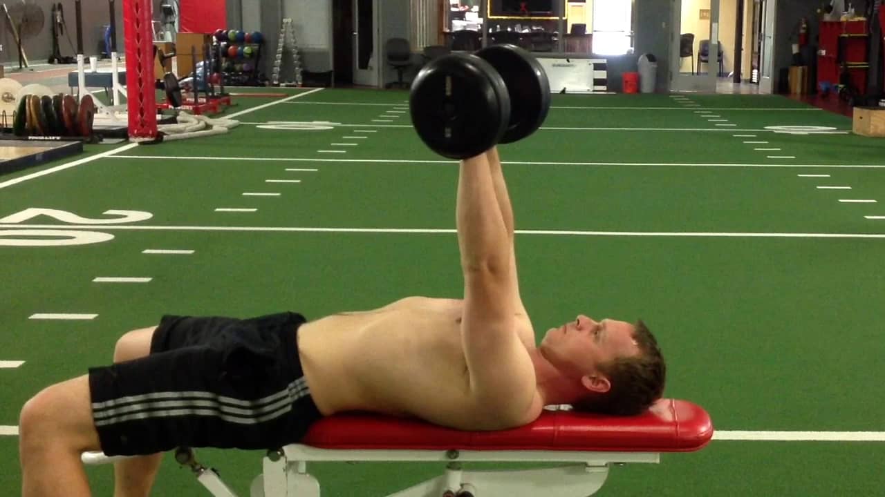 Supine DB Scap Punches on Vimeo