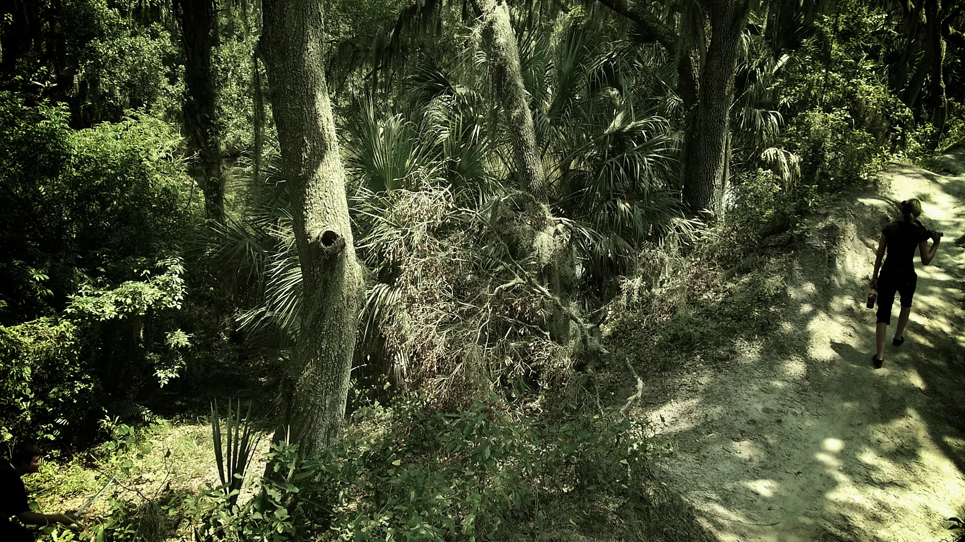 Survival on Vimeo