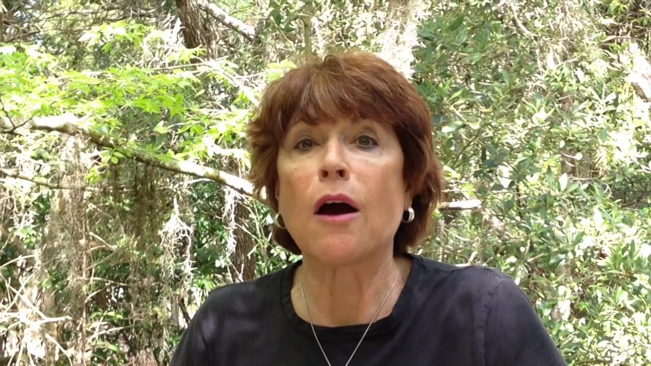 Fawn Germer's Work-Life Reset on Vimeo