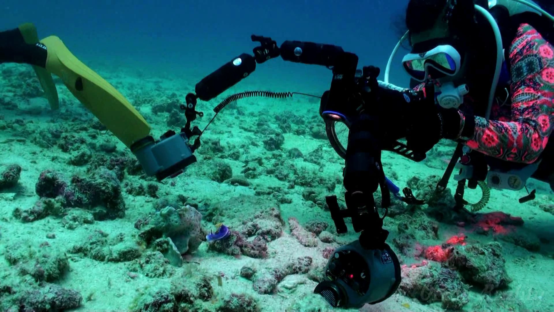 Every Dive Is a Memory on Vimeo