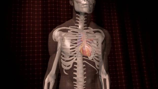3D Heart Attack animation on Vimeo