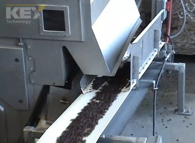 Optical Sorting Machine | Key Technology