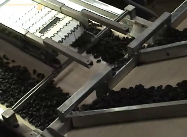 Optical Sorting Machine | Key Technology