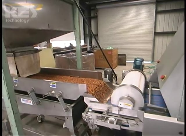 Optical Sorting Machine | Key Technology