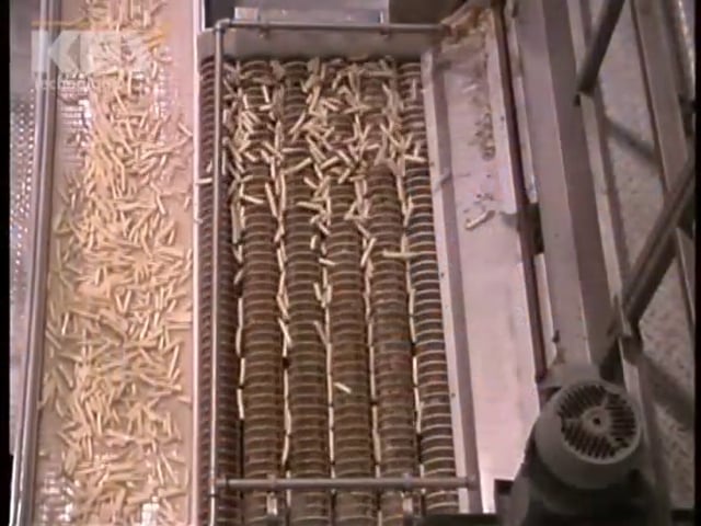 Food Grade Rolling Sizer & Food Safe Roller Grading Machine | Key ...