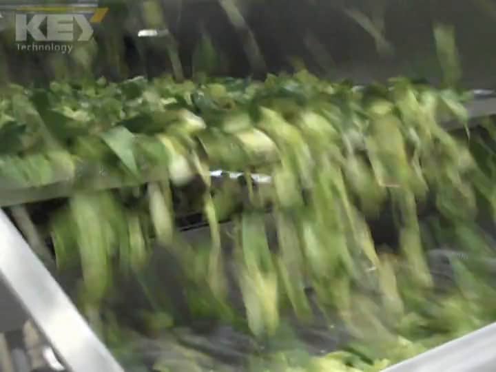 Lettuce Core Removal System - Video Two on Vimeo