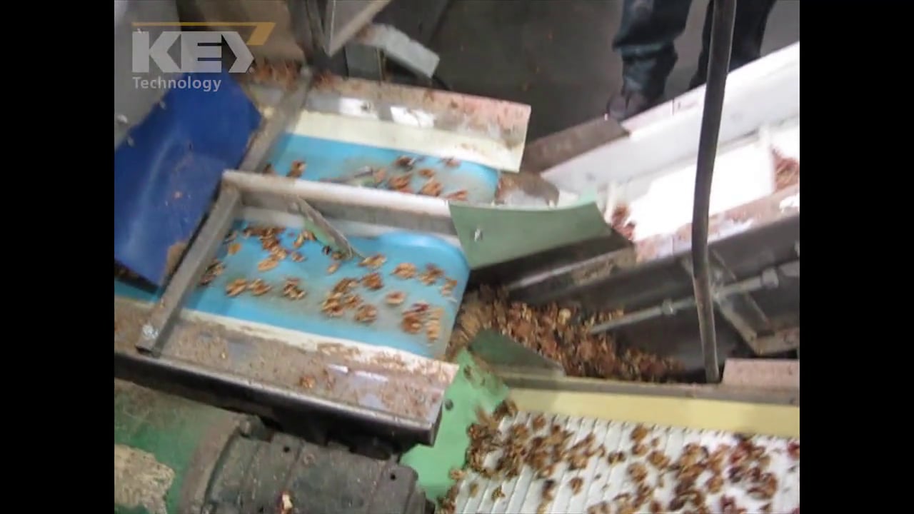 Optical Sorting Machine | Key Technology