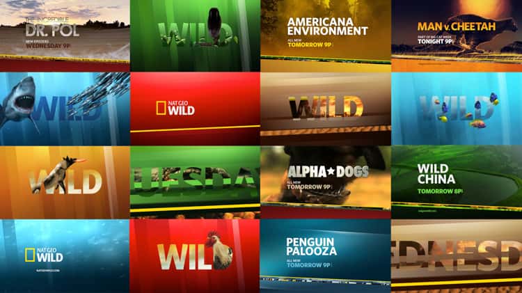 National Geographic Wild Channel Logo