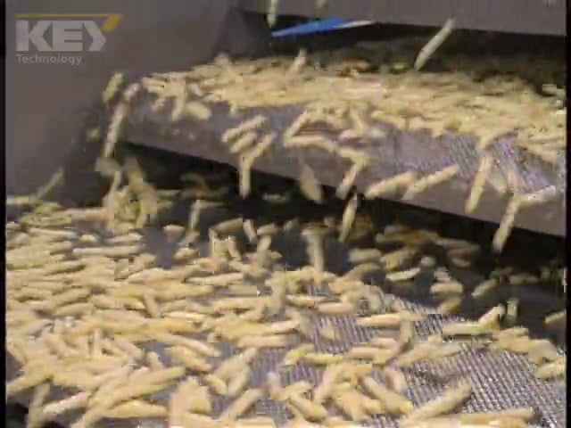 ADR Machine for Potato Strips | Key Technology