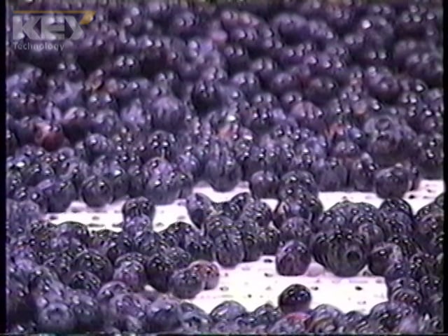 Optical Sorting Machine | Key Technology