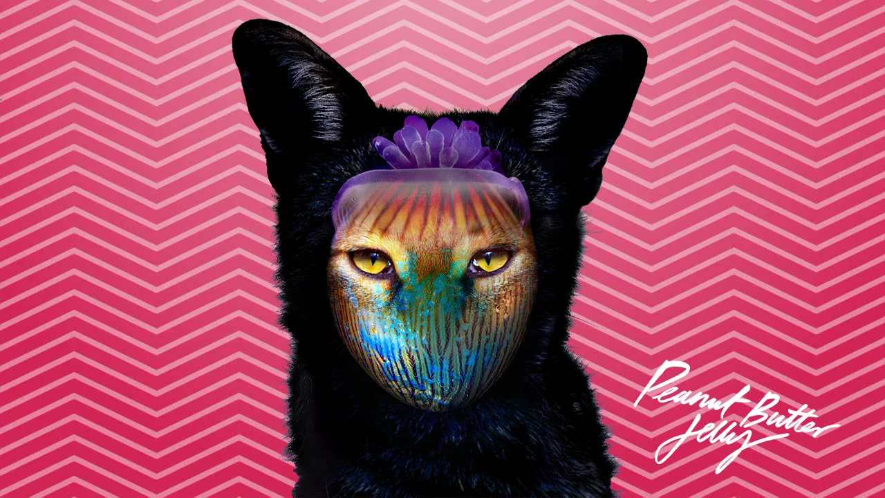 Galantis: Peanut Butter Jelly Visualizer Video on Vimeo