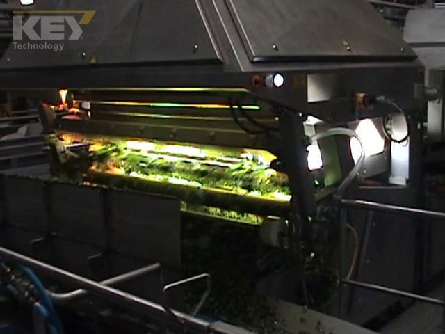 Laser Sorter | Key Technology