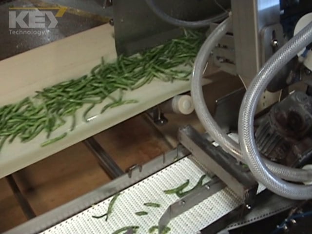 Laser Sorter | Key Technology