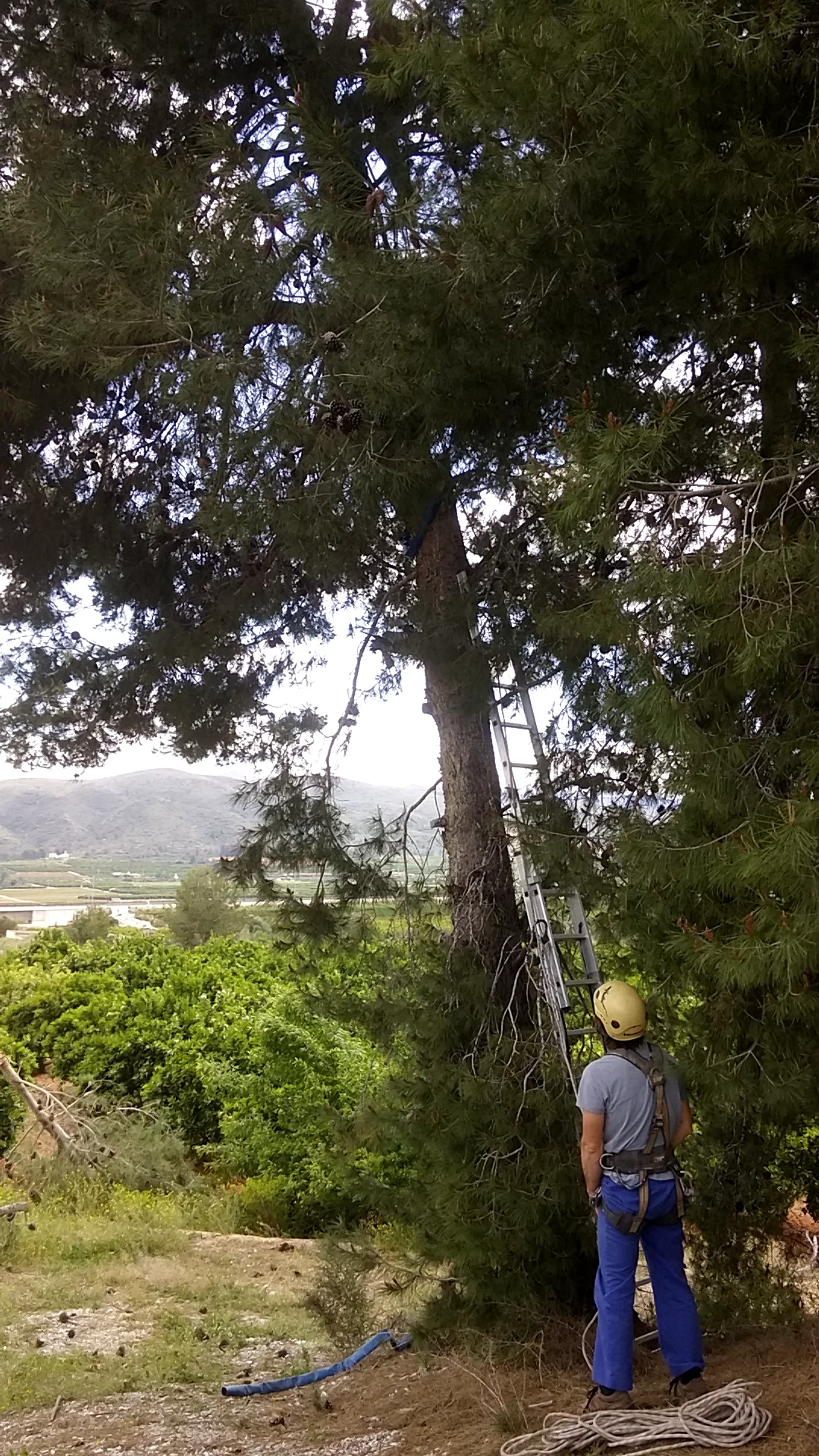 20150416 153938 on Vimeo