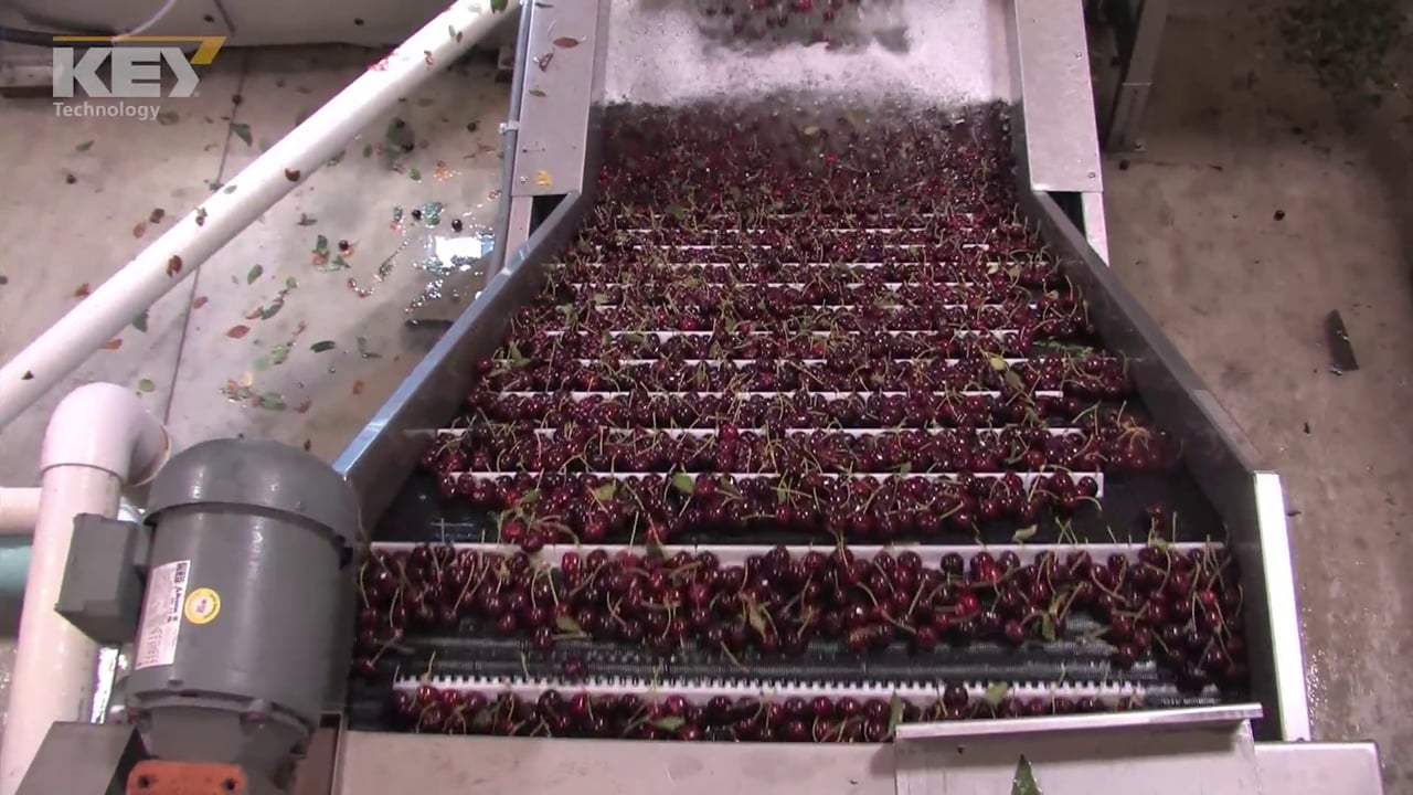 Optical Sorting Machine | Key Technology