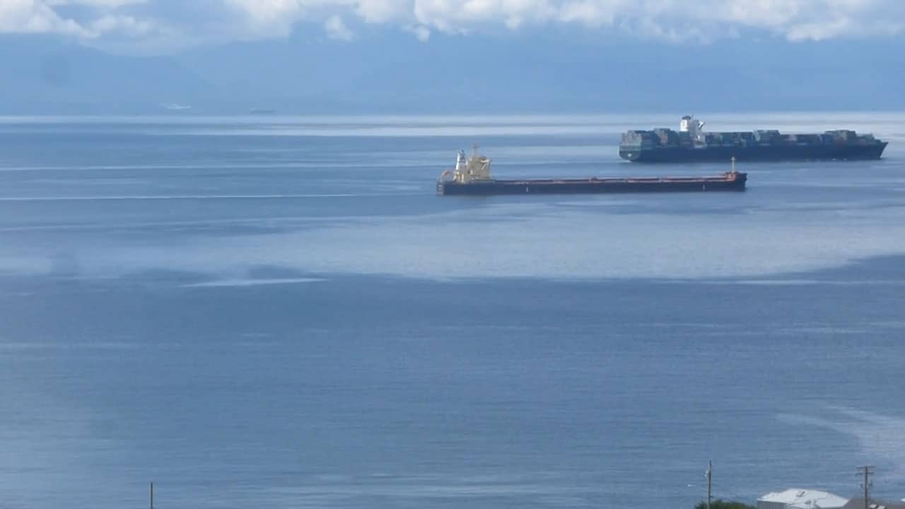 MV Marathassa, Constance Bank, Victoria, BC, Canada on Vimeo