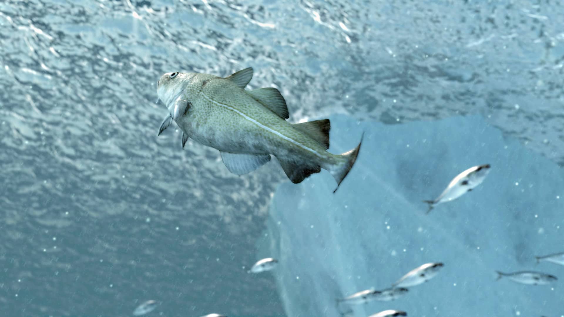 Eqology Pure Arctic Oil on Vimeo