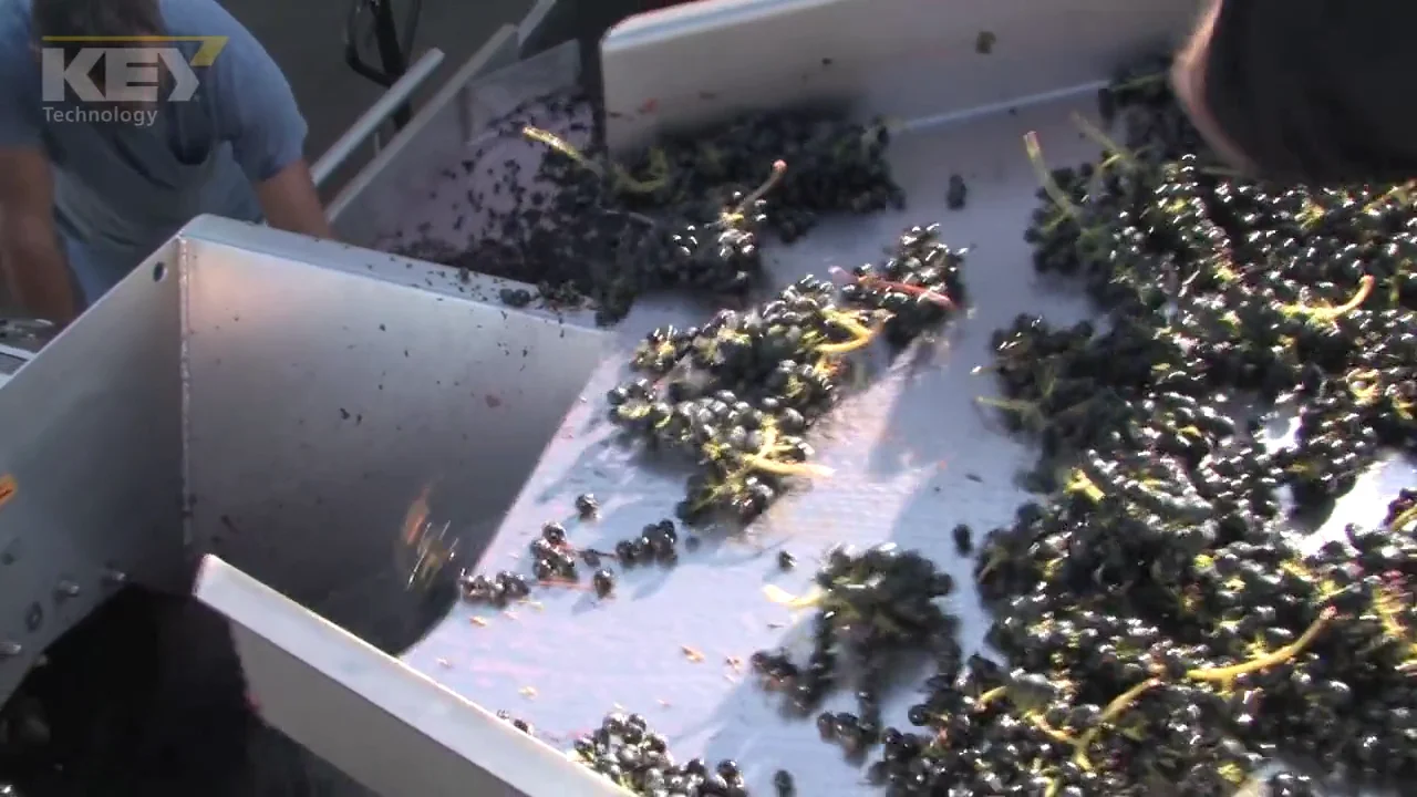 Crush Pad Equipment Solutions