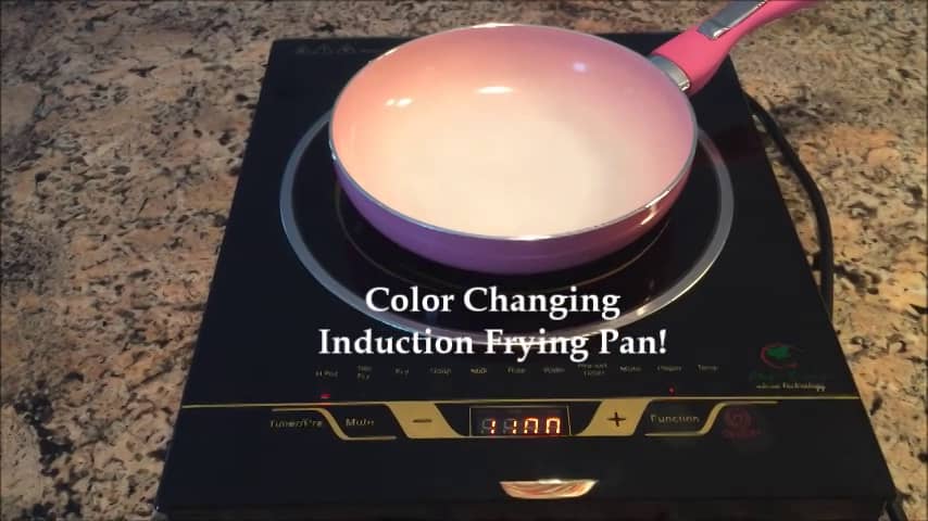 Chef-Exprez Induction Cooktop Demo 1 on Vimeo