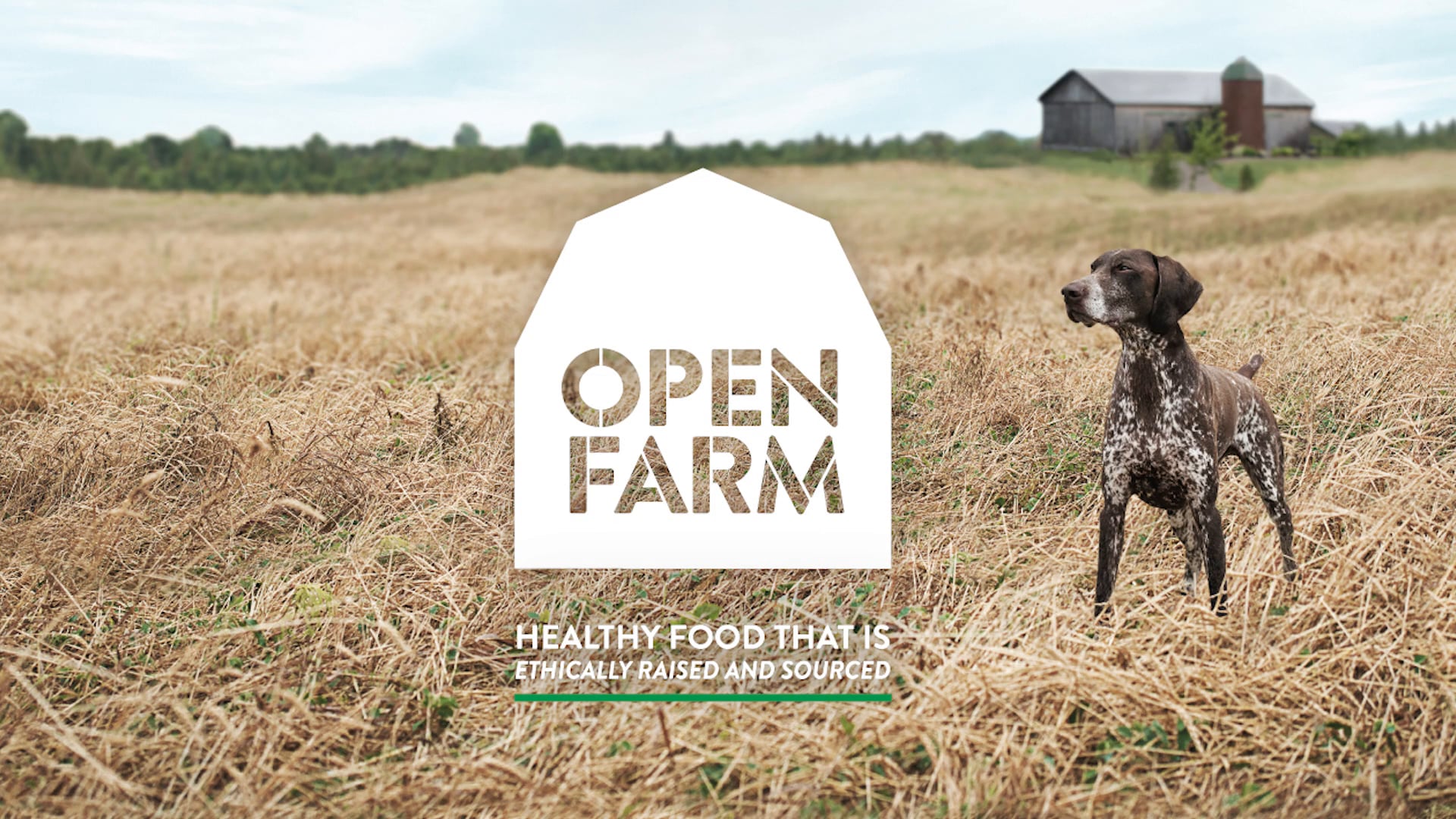 Learn about Open Farm on Vimeo
