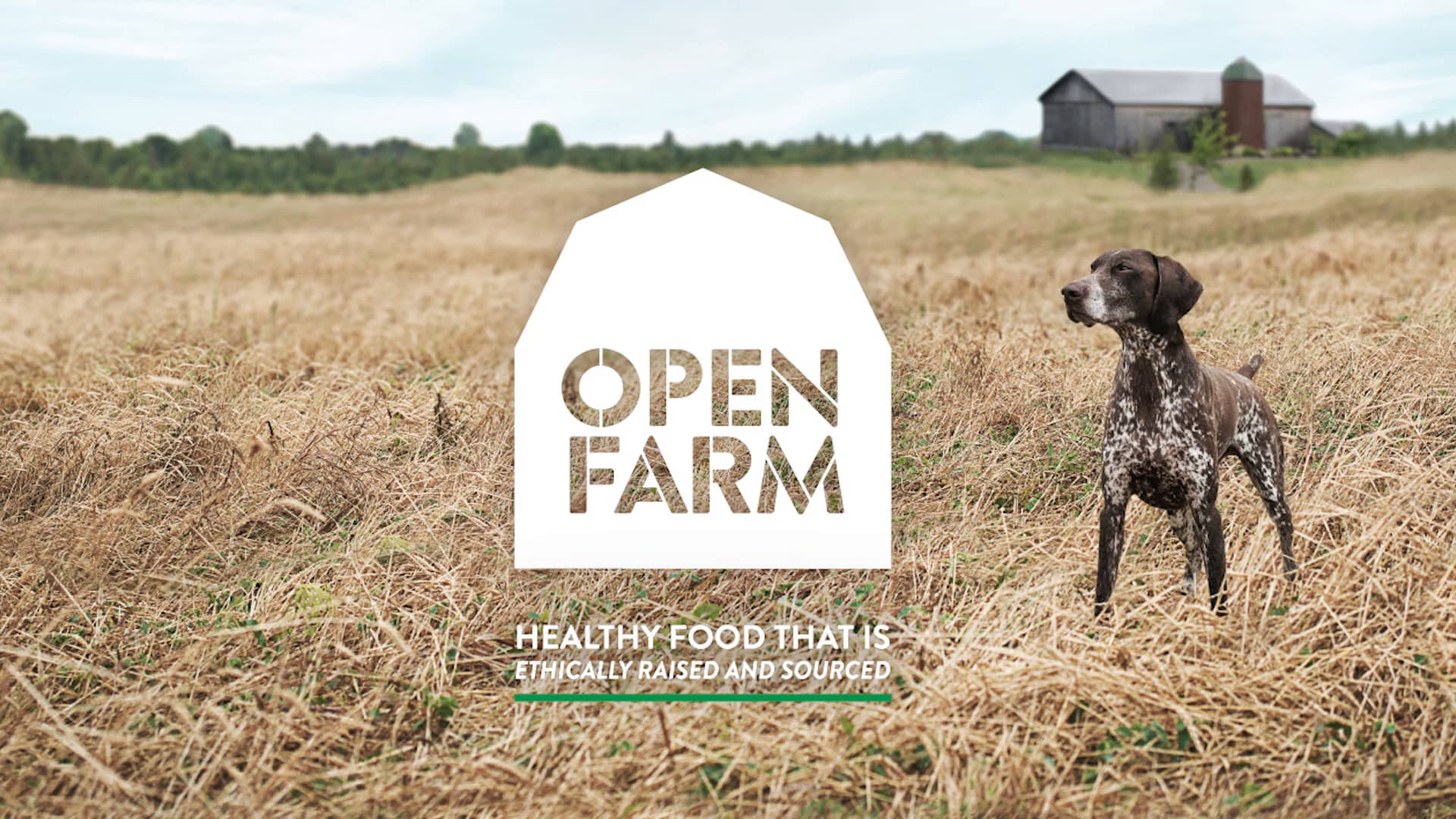 Learn about Open Farm on Vimeo