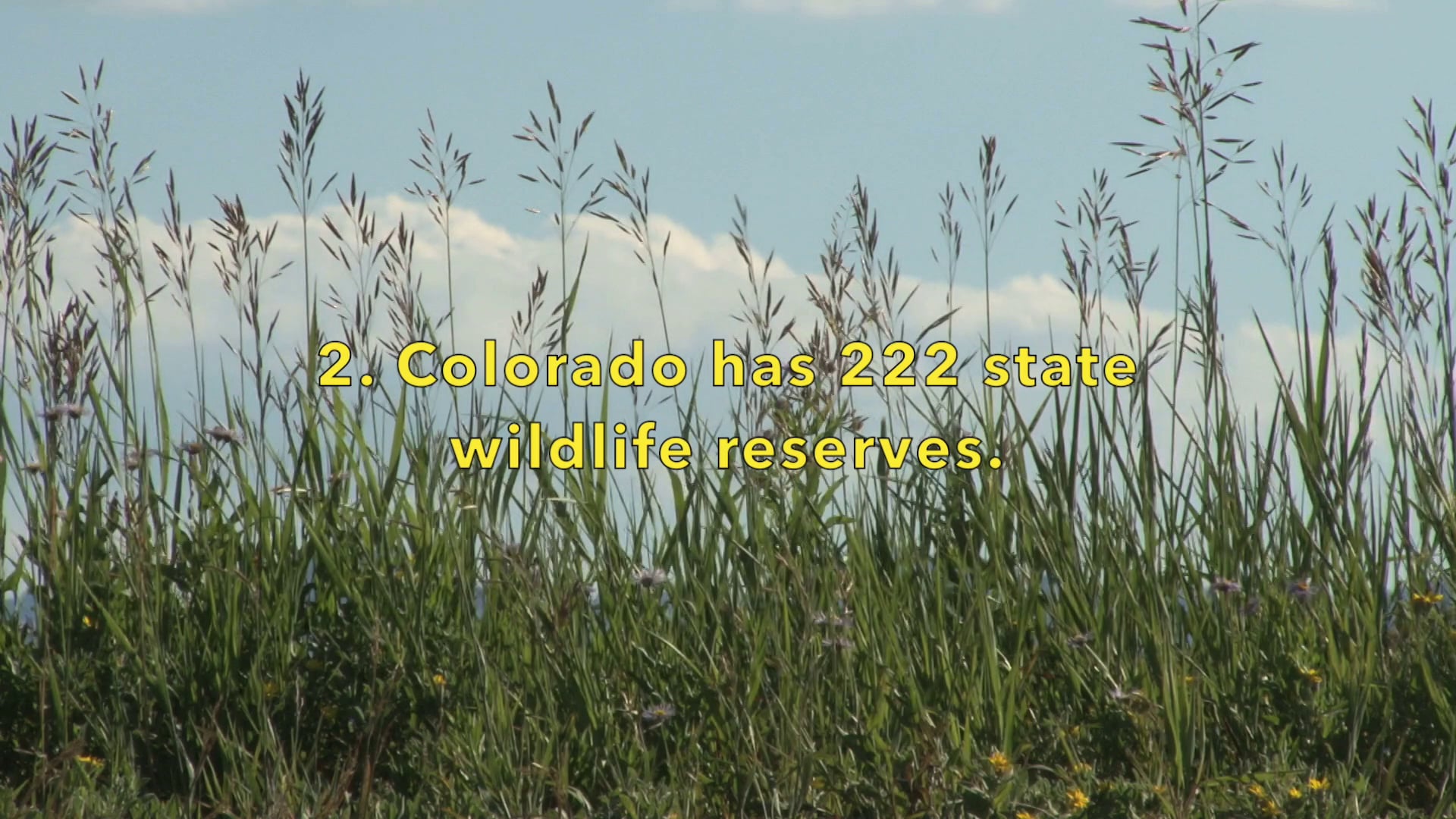 Carl Nelson France - 5 Colorado Facts on Vimeo