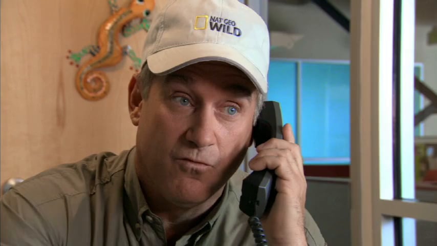 National Geographic Channel / Geico on Vimeo