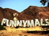 Funnymals trailer + eps on Vimeo