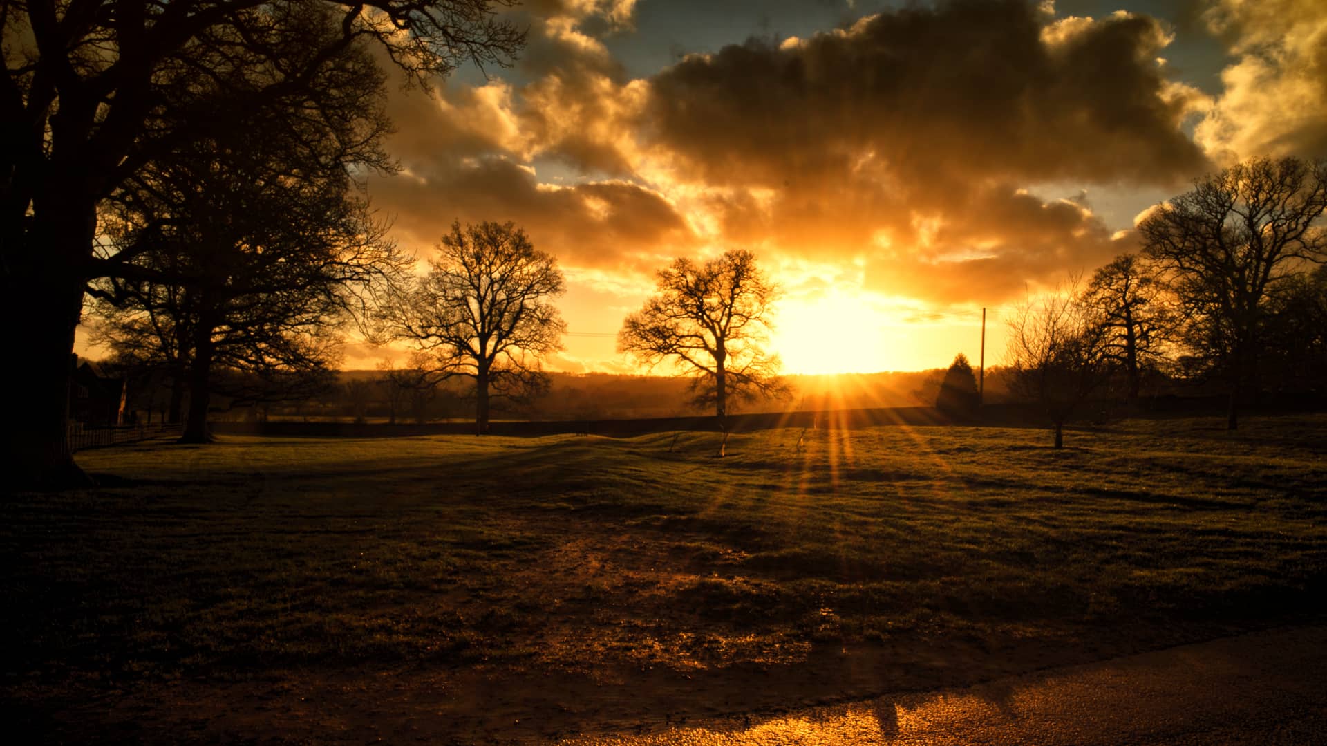 Changing the world... One billion trees at a time on Vimeo