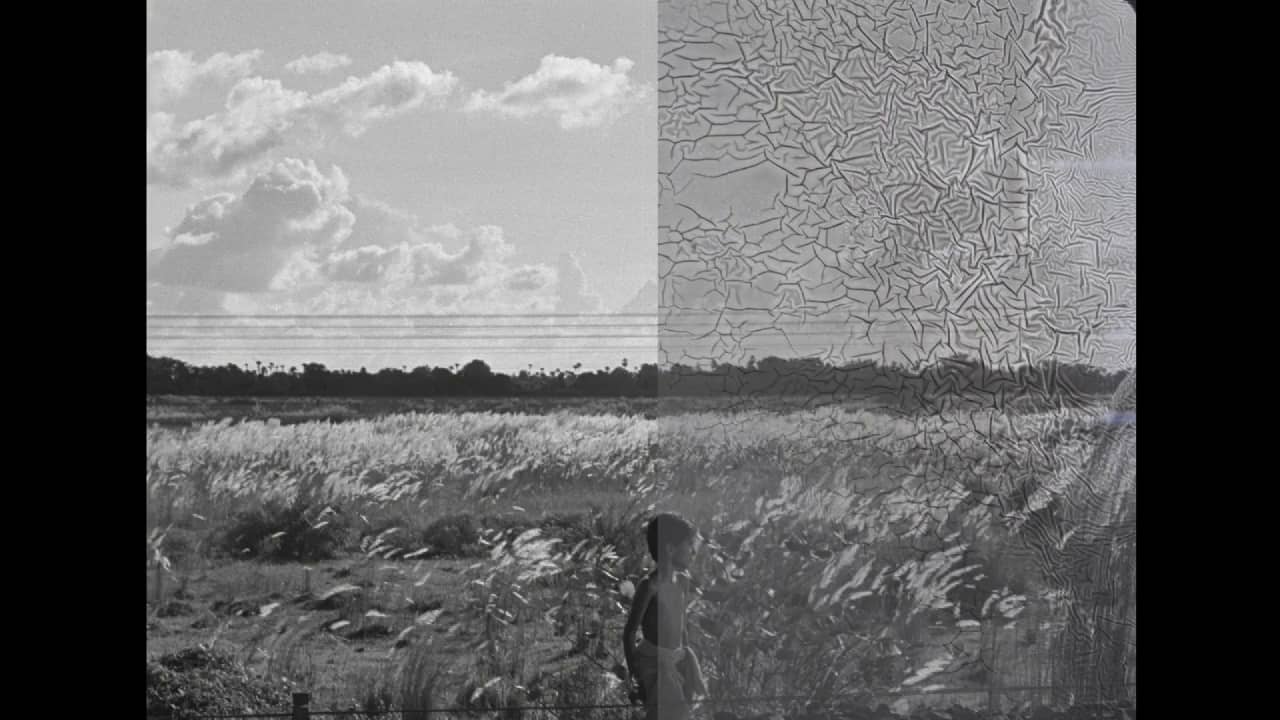 Apu Trilogy Restoration Trailer on Vimeo