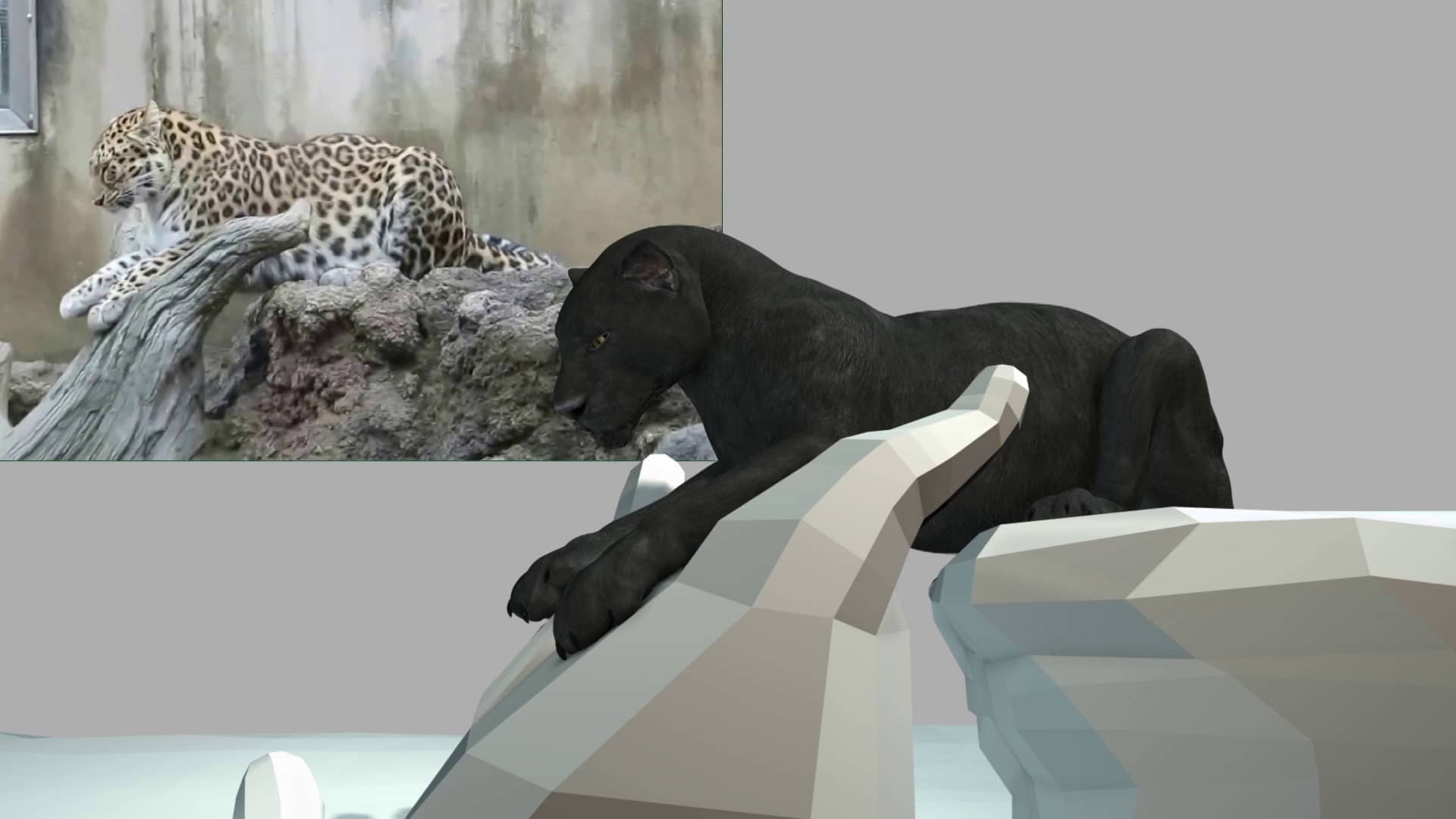 Panther Test: Progress Reel on Vimeo