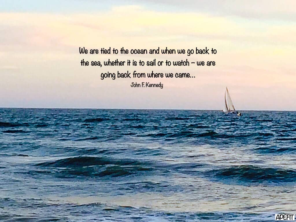 We are tied to the ocean and when we go back to the sea, whether it is ...