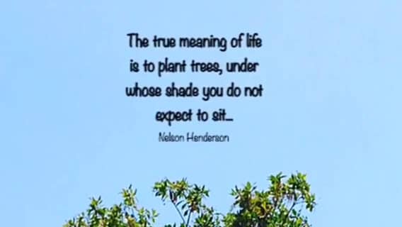 The true meaning of life is to plant trees, under whose shade you do ...