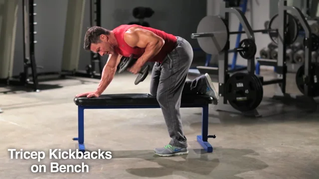 Triceps Kickback