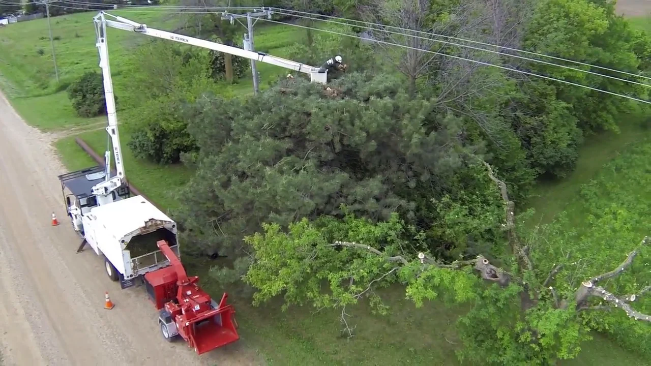 Kappen Tree Service Testimonial on Vimeo