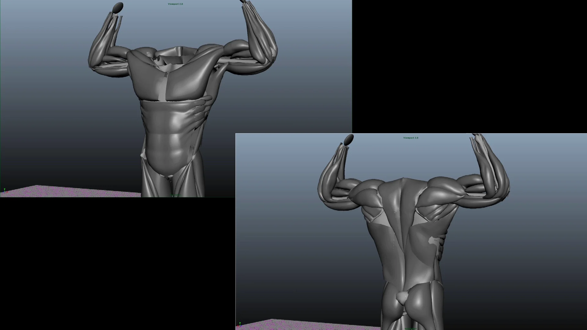 Maya Muscle simulation with ncloth
