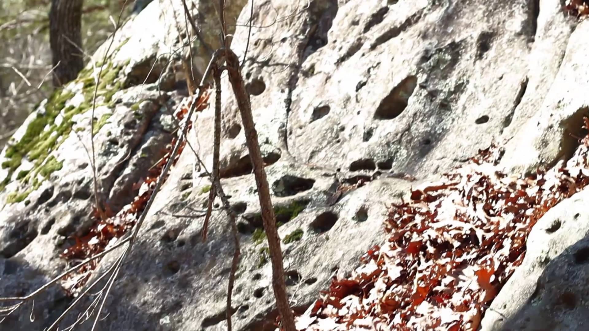 Murder Rock and the Notorious Alf Bolin on Vimeo