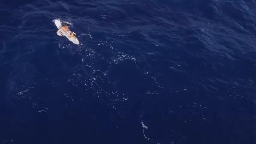 ESPN 30 for 30: Hawaiian: The Legend of Eddie Aikau on Vimeo