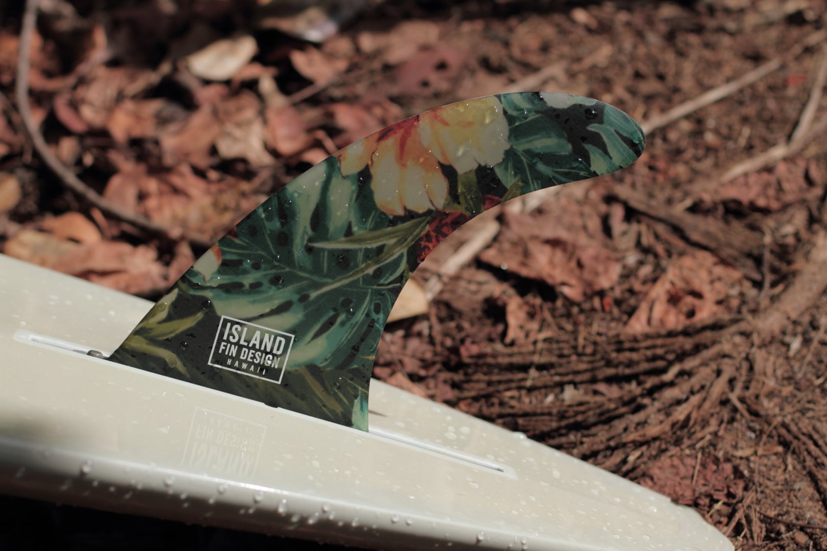 Island Fin Design. on Vimeo